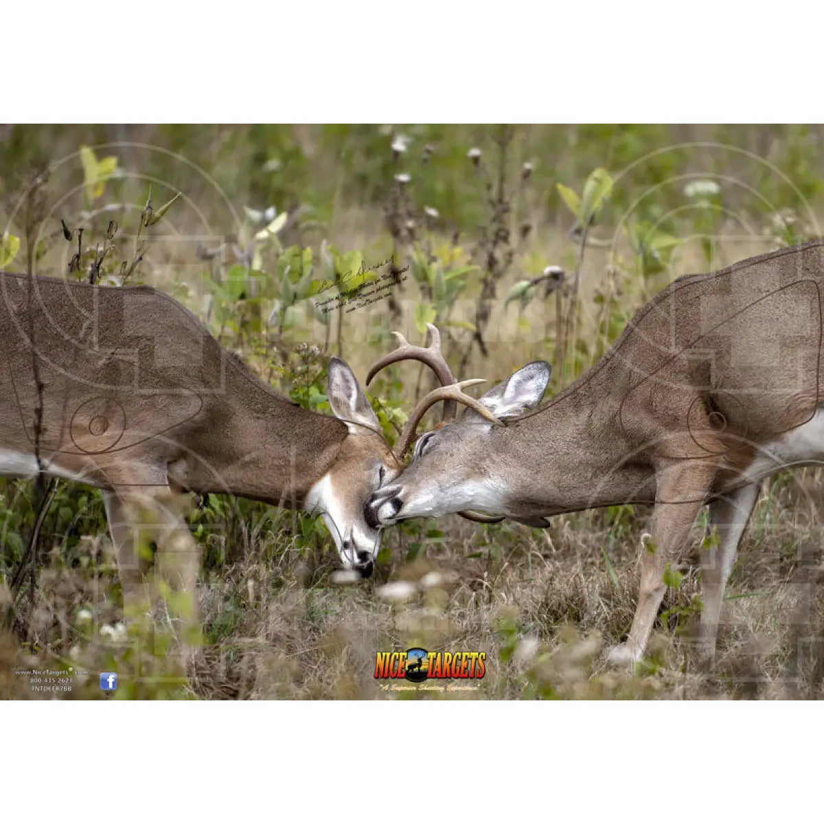 Nice Archery Animal Target Faces | Plusarrows