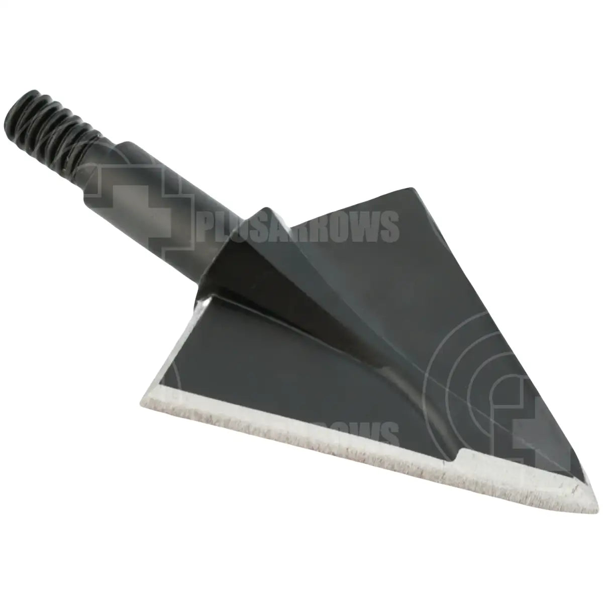 Terra Firma 2 Blade Single Bevel Broadhead (3 Pack) | Plusarrows