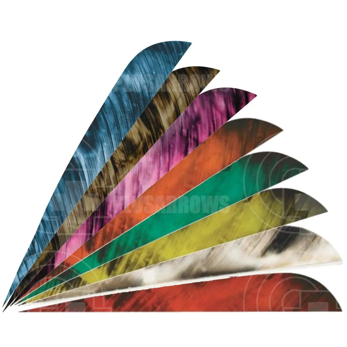 Tre Colour 3.0" Right Wing Parabolic Feathers (12 Pack) | Plusarrows